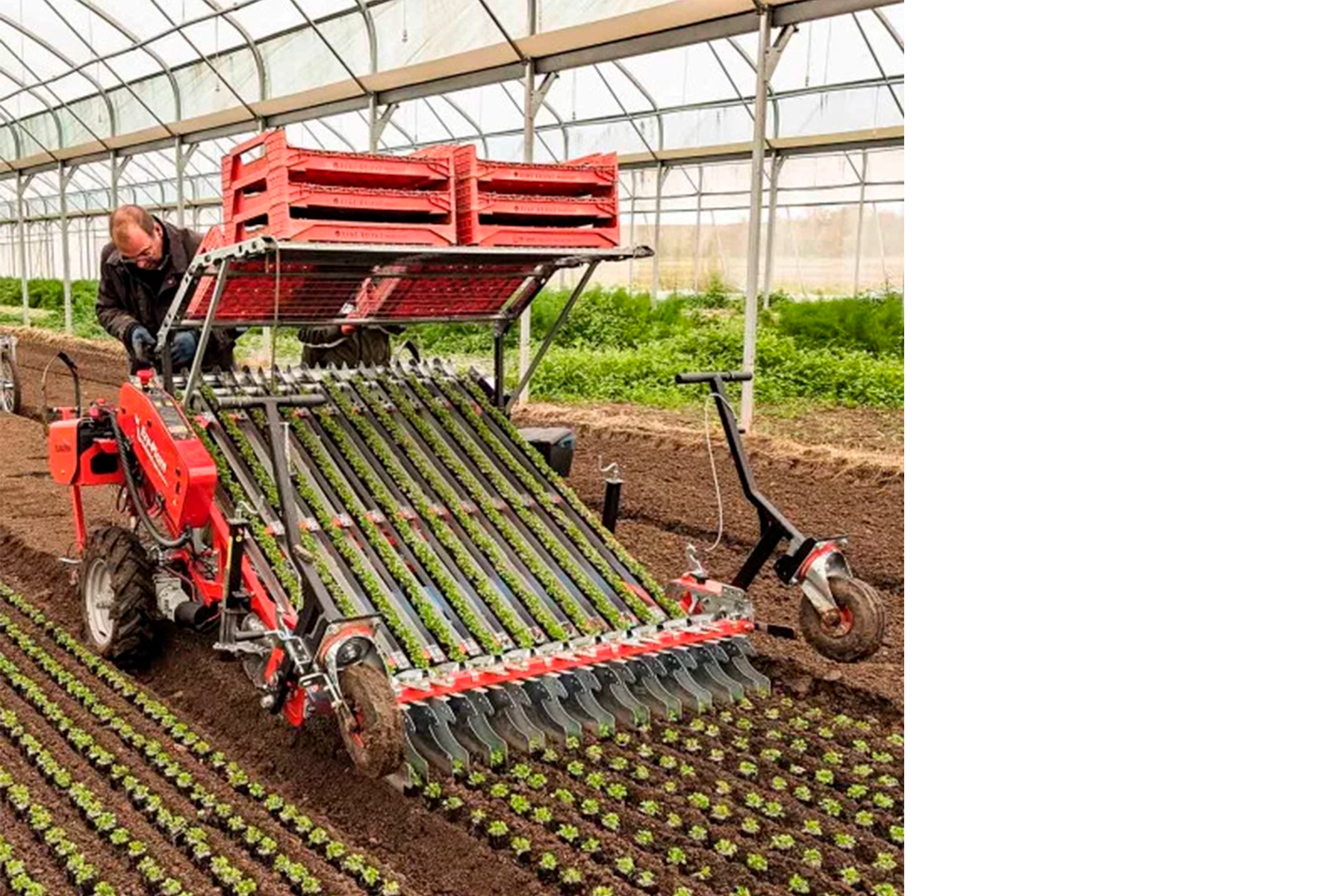 EZY-PLANT ELETRIC TRANSPLANTER TERRATECK - Fialhostore