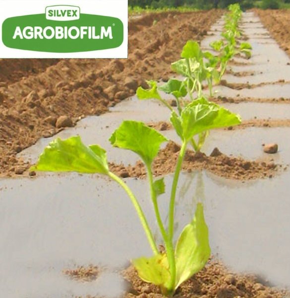 MULCH BIODEGRADABLE AGROBIOFILM - ROLLS 1000 MTS 15 MICROS - Fialhostore
