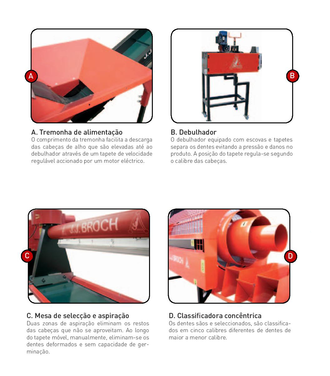 DEBULHADORA DE CABEÇAS DE ALHO J.J.BROCH LIDE SERIES - Fialhostore