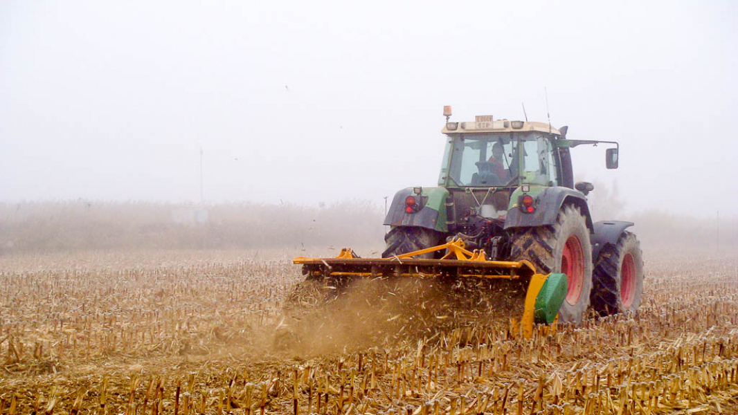 CRUSHER SERRAT MAYDER + SERIES - Fialhostore