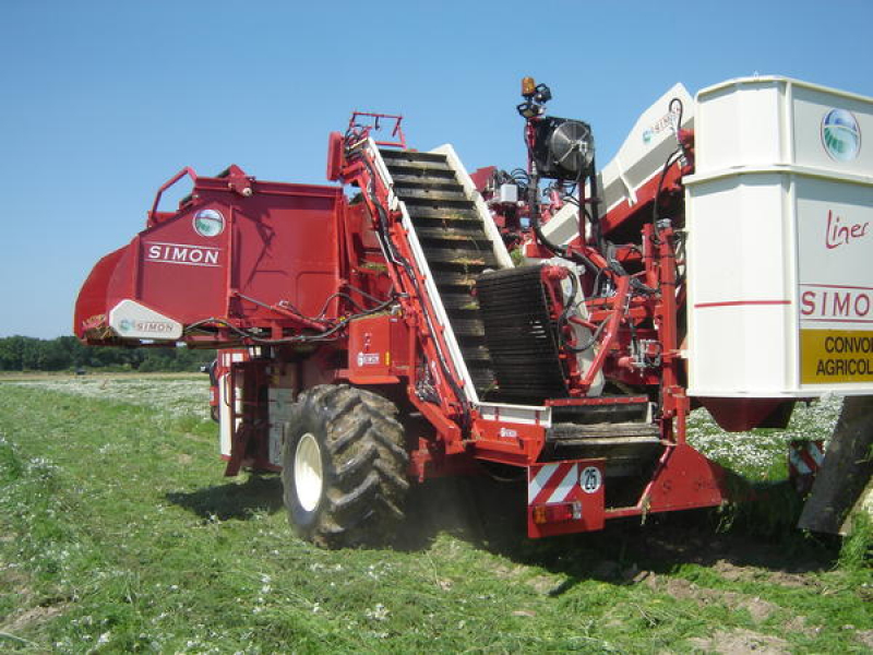 CARROT HOLDER SIMON LINER B - Fialhostore