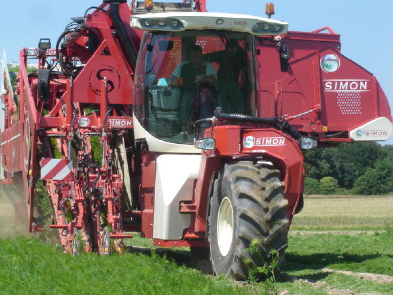 CARROT HOLDER SIMON LINER B - Fialhostore